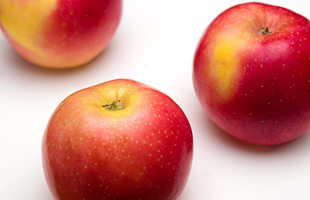 9Colonne | Taiwan, al via la campagna di esportazione delle mele italiane