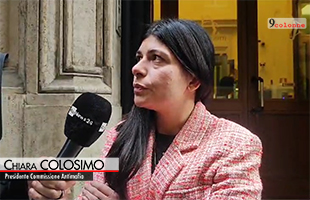 9Colonne | Mafia, Colosimo: audizione importante, da Lucia Borsellino ...